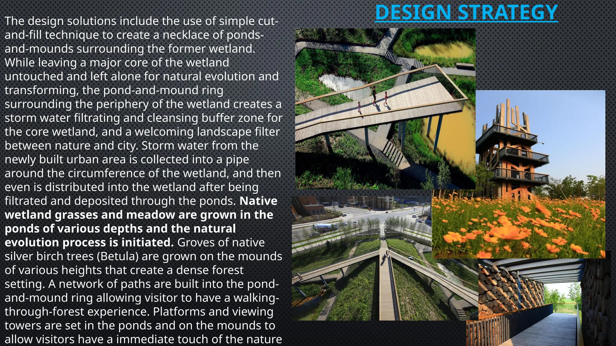 turenscape Harbin Qunli Stormwater Park.pptx