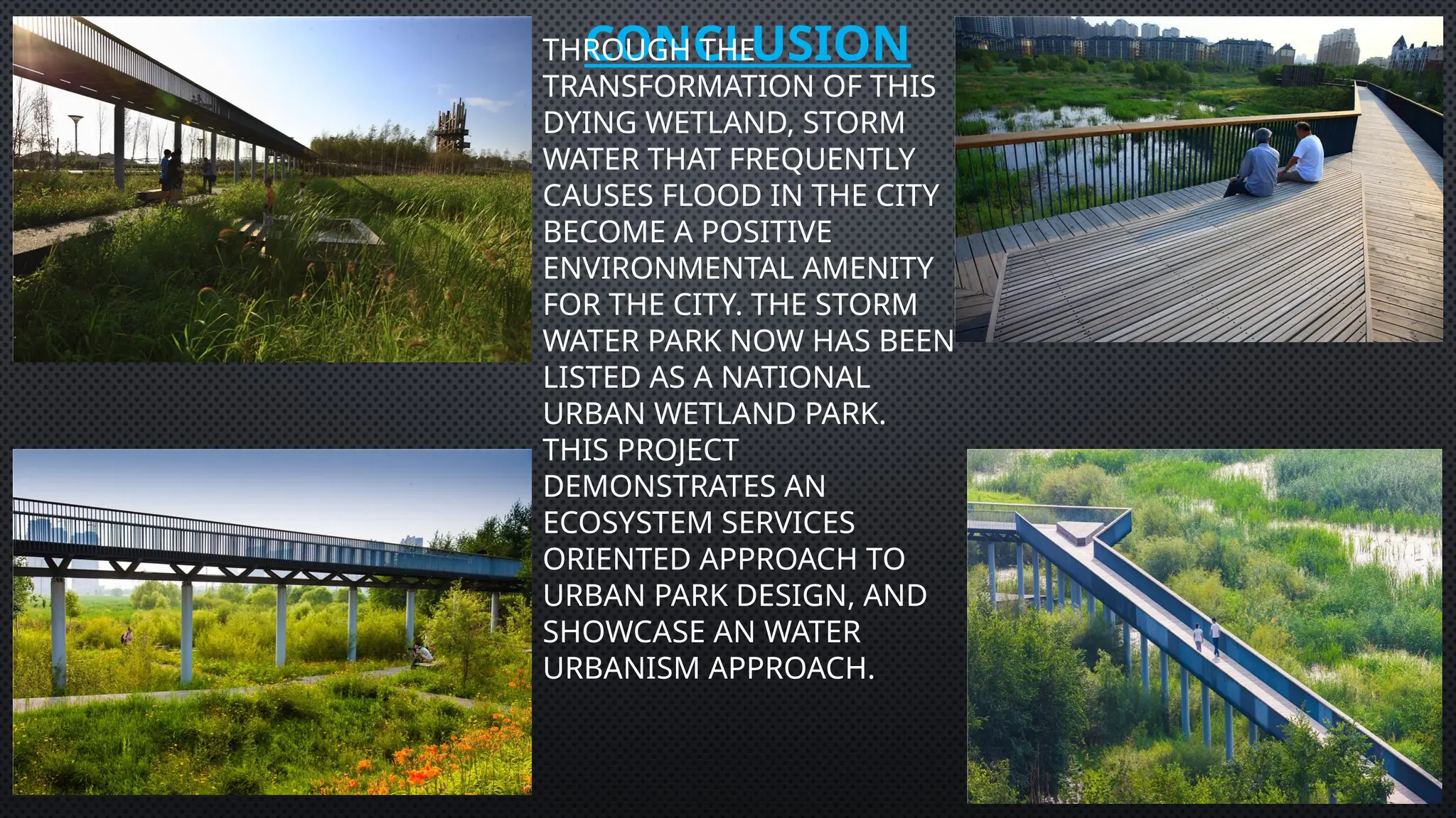 turenscape Harbin Qunli Stormwater Park.pptx