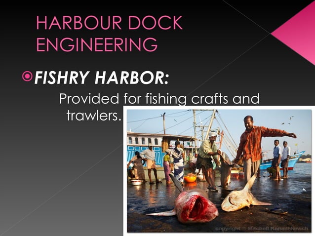 harbor types and site selection | PDF | Cruises | Travel Type