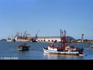 Harbour overview | PPT