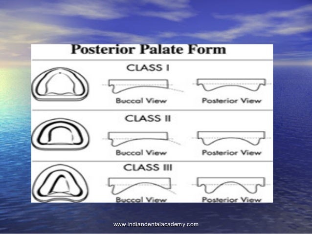 Hard and soft palate/ oral surgery courses