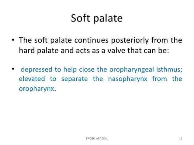 Hard and soft palate | PPTX