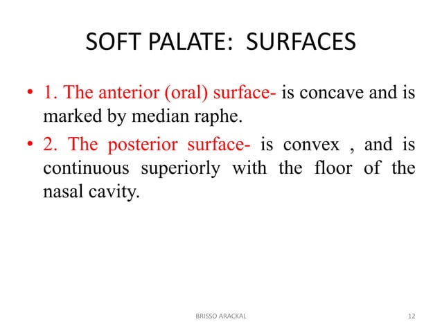 Hard and soft palate | PPTX
