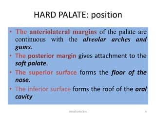 Hard and soft palate | PPTX