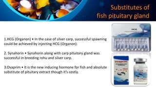 INDUCED BREEDING | PPTX