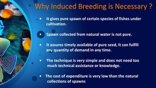 INDUCED BREEDING | PPTX