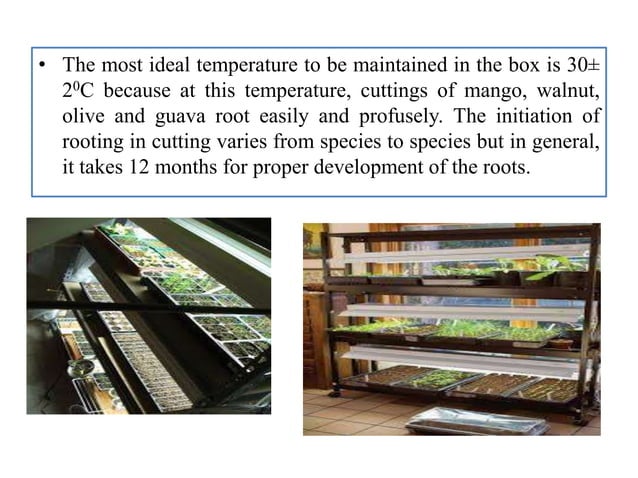 Hardening, packaging & transport of micropropagules and construction of ...