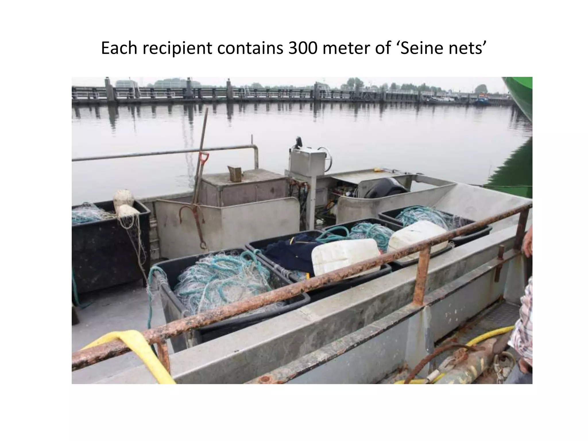 Pintafish - Tout une filière eco-responsable! | PPT