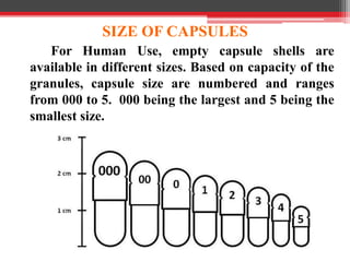 Hard gelatin capsules - a detailed study | PPTX | Pharmaceutical Drugs ...