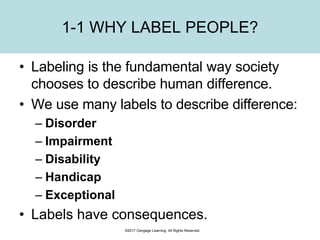 Chapter 1 Understanding Exceptionalities | PPTX