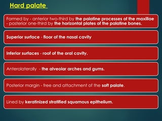 HARD PALATE & SOFT PALATE.pptx anatomy 1 st year | PPT