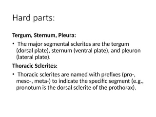Hard parts of insects including exoskeleton.pptx