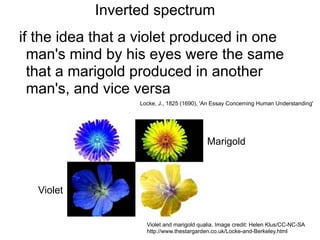 The hard problem of consciousness | PPT