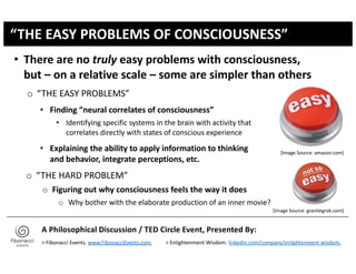 Hard Problem of Consciousness | PDF