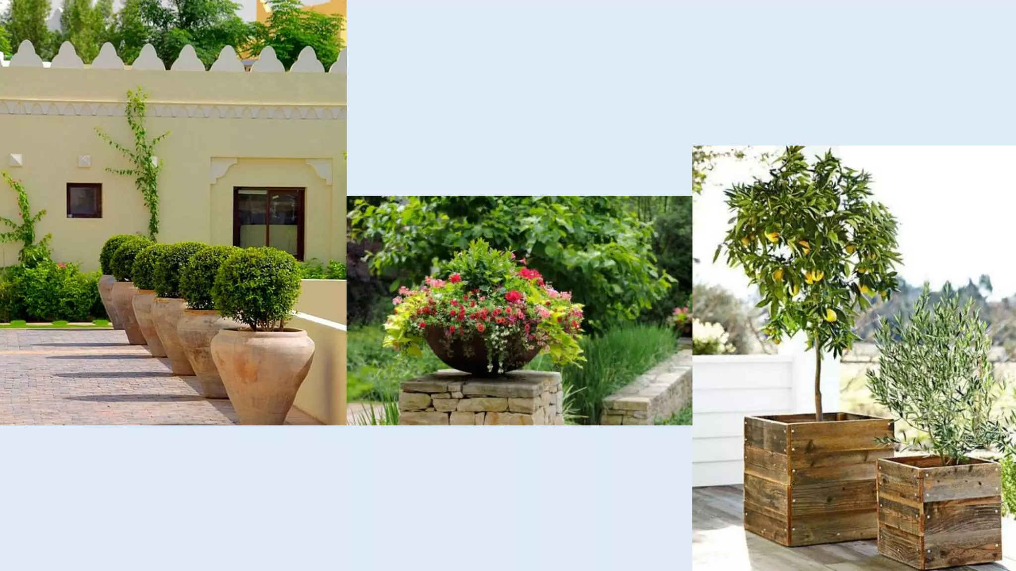 Landscape Architecture- Hardscaping elements | PPTX