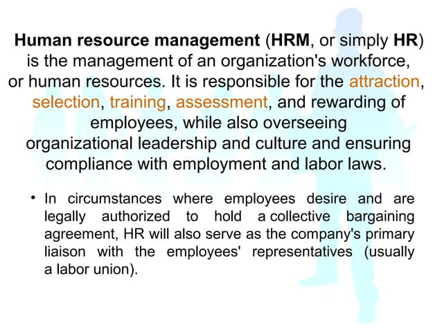Hard vs soft HRM | PPT | Human Resources | Business