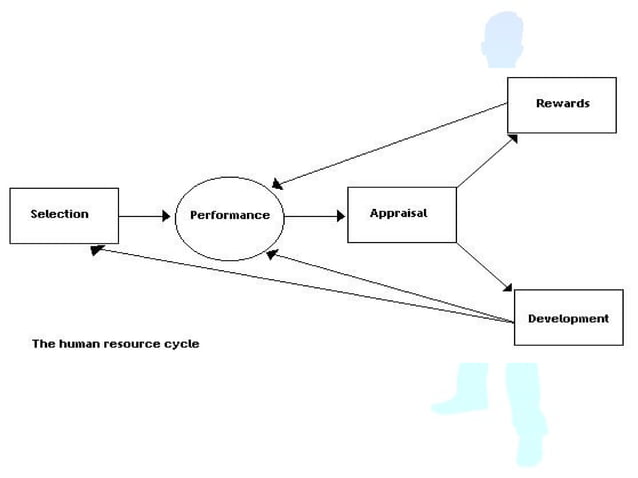 Hard vs soft HRM | PPT | Human Resources | Business