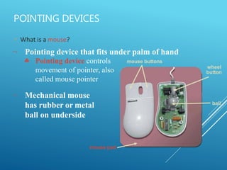 Hardware and software of computer | PPTX