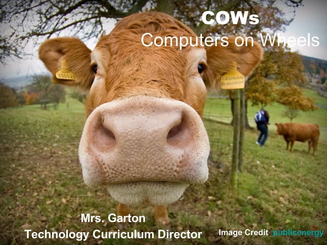 COWs: Lesson I | PPT