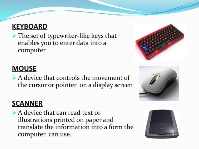 Hardware & Software | PPTX