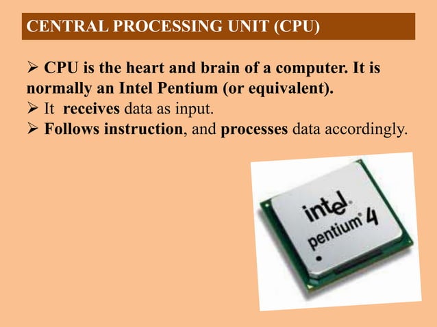 Hardware Software clascccccsification.pptx