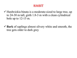 Hardwickia | PPT | Woodworking | Arts and Crafts