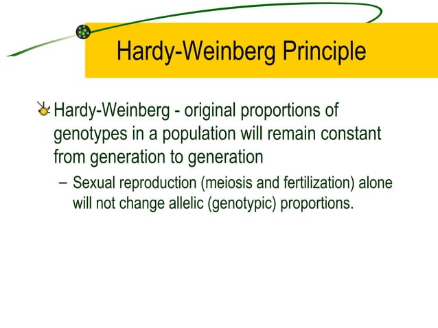 Hardy weinberg | PPT
