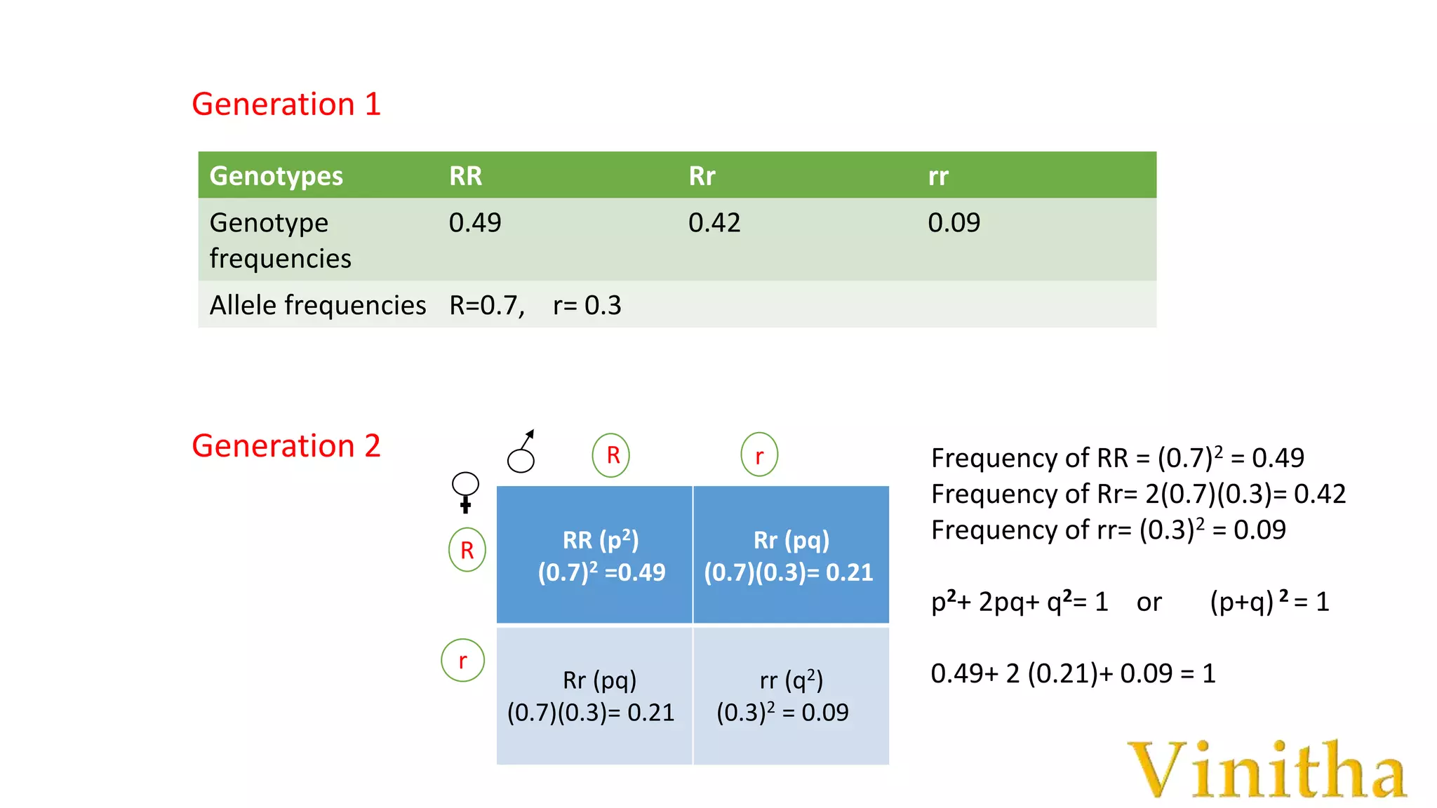 Hardy weinberg equilibrium | PPTX