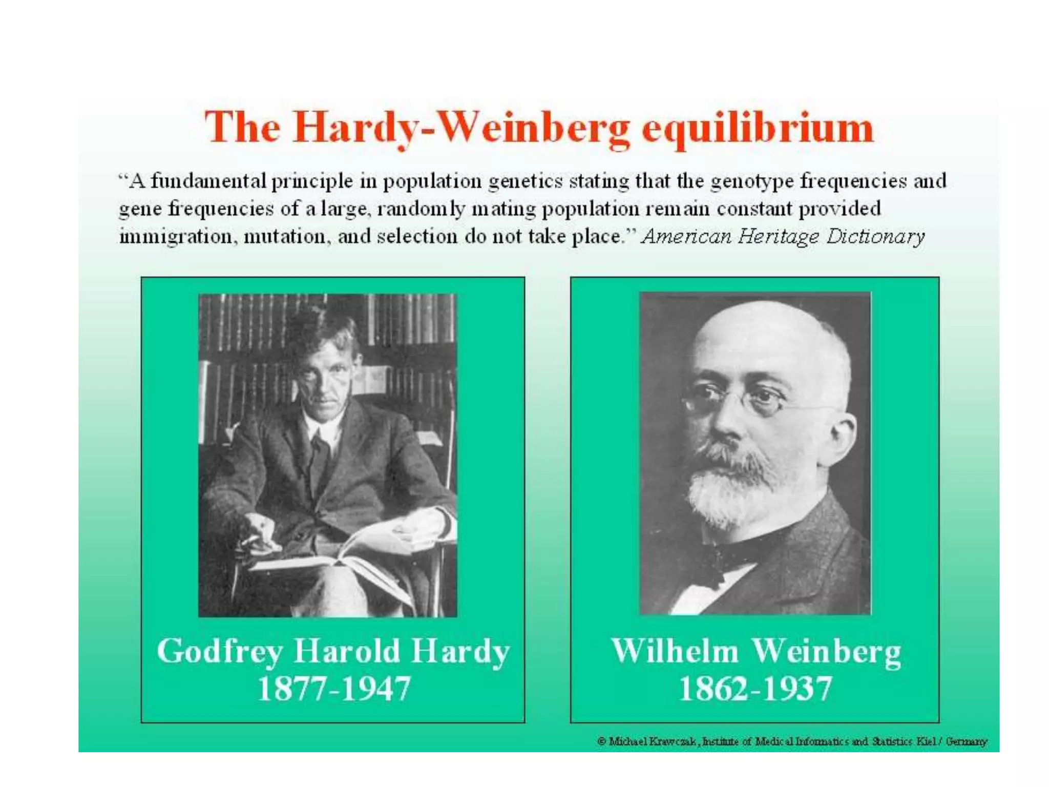 Hardy-weinberg principle | PPTX