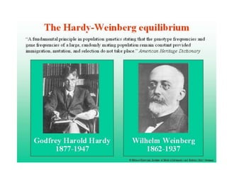 Hardy-weinberg principle | PPTX