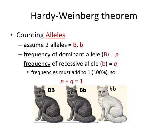 Hardy-weinberg principle | PPTX