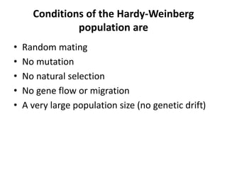 Hardy-weinberg principle | PPTX
