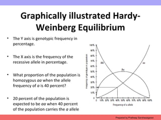 Hardy weinberg supplement | PPT