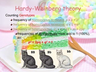 Hardy weinberg theory | PPTX