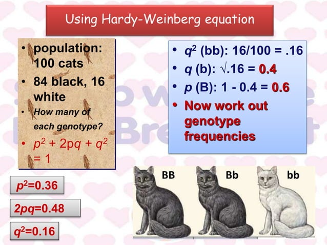 Hardy weinberg theory | PPTX