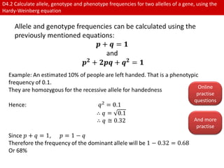 IB Biology Option D.4: Hardy Weinberg Principle | PPTX