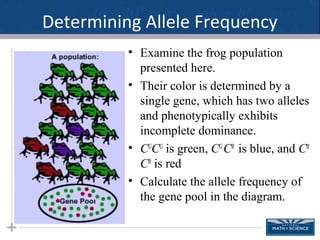 Microevolution Changing Allele Frequencies | PPT