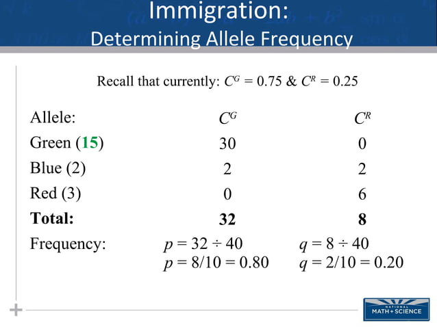 Microevolution Changing Allele Frequencies | PPT