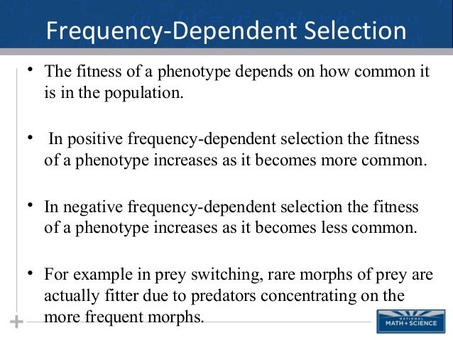 Microevolution Changing Allele Frequencies
