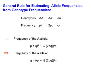 Hardy Weinberg Equilibrium and Equation.pptx