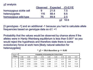 Hardy Weinberg Equilibrium and Equation.pptx