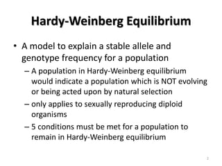 Hardy Weinberg Equilibrium and Equation.pptx