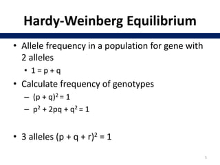 Hardy Weinberg Equilibrium and Equation.pptx