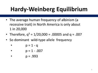 Hardy Weinberg Equilibrium and Equation.pptx