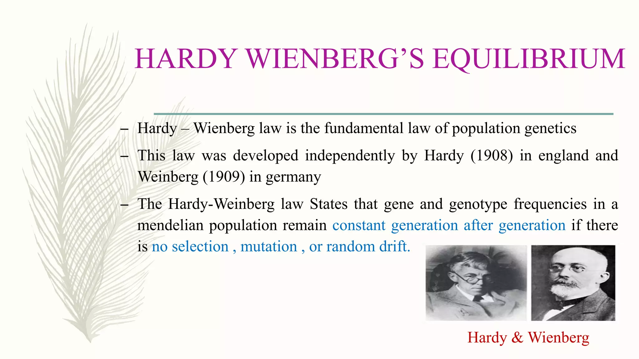 Hardy weinberg equilibrium | PPTX