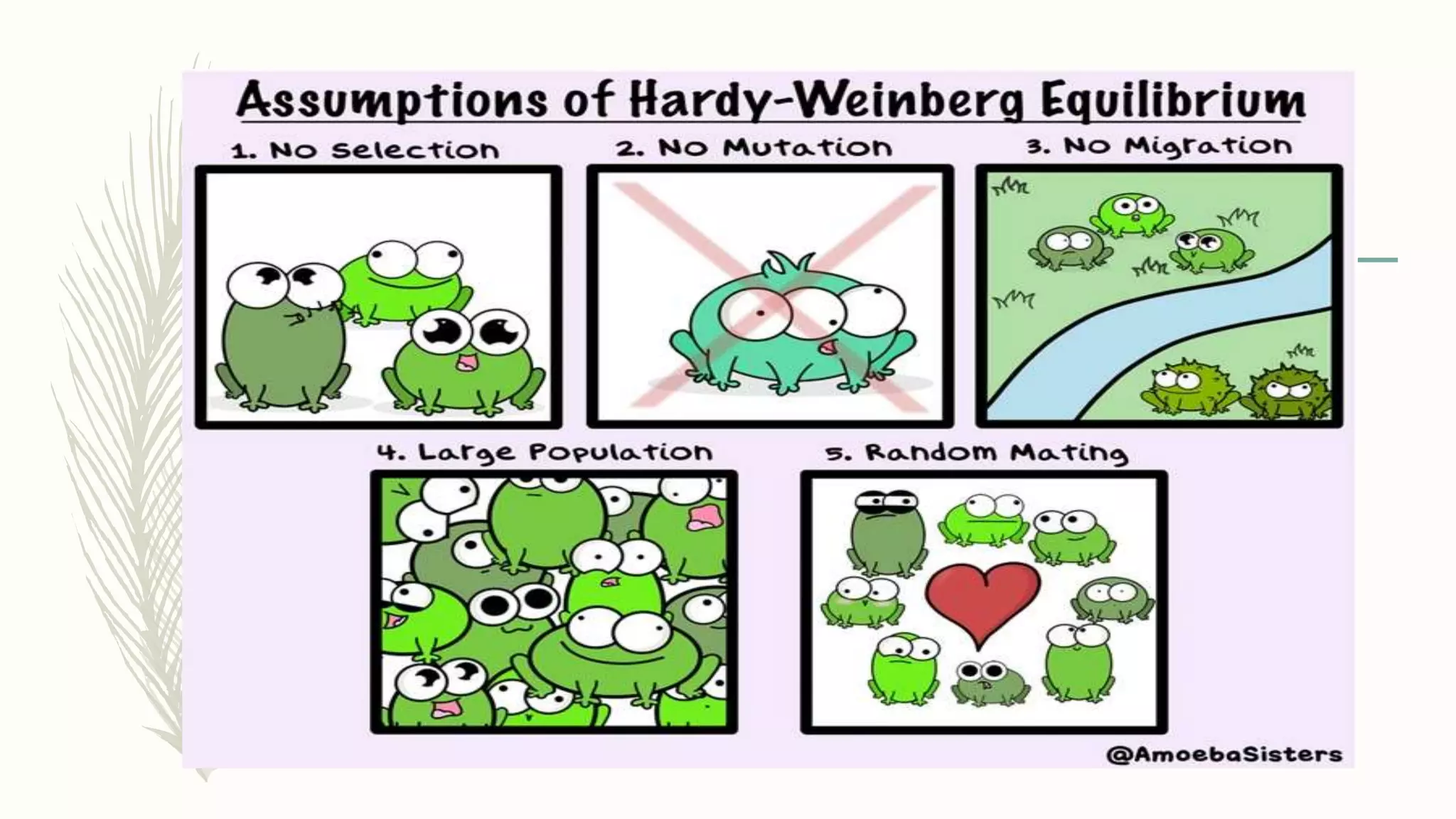 Hardy weinberg equilibrium | PPTX