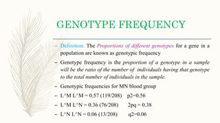Allele Frequency Definition