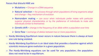 Hardy weinberg equilibrium | PPTX