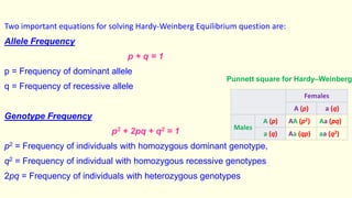Hardy weinberg equilibrium | PPTX