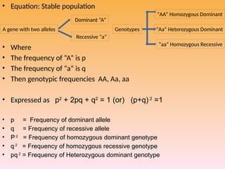 Hardy weinberg principle 12 th class Ppt Presentation | PPTX